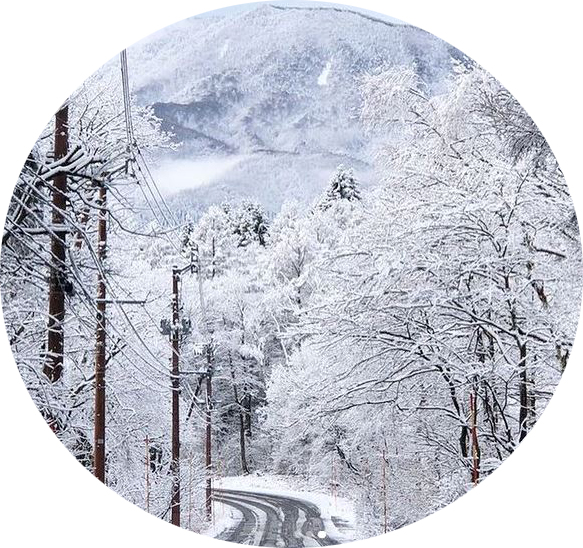 Myoko Kogen | 2.5 hrs from Tokyo | Skiing, onsen and nature